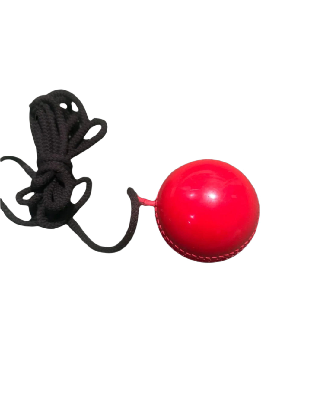 Cricket Training Ball with Cord